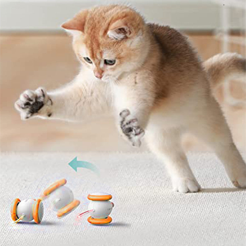 Electric Intelligent Teasing Cat Charging Toys – Dog Bed & Supplies