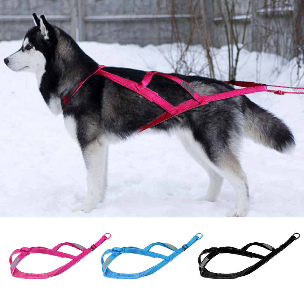 Sled Pulling Harness Mushing Back Harness – Dog Bed & Supplies